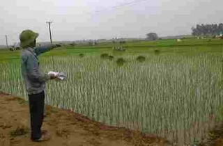 Khuất tất trong dồn điền đổi thửa?